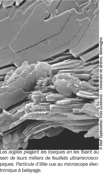 argile vue au microscope électronique - Matériaux écologiques